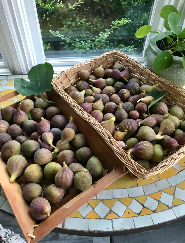 Local & Seasonal Cooking with Rita Calvert: Figs – Annapolis Green